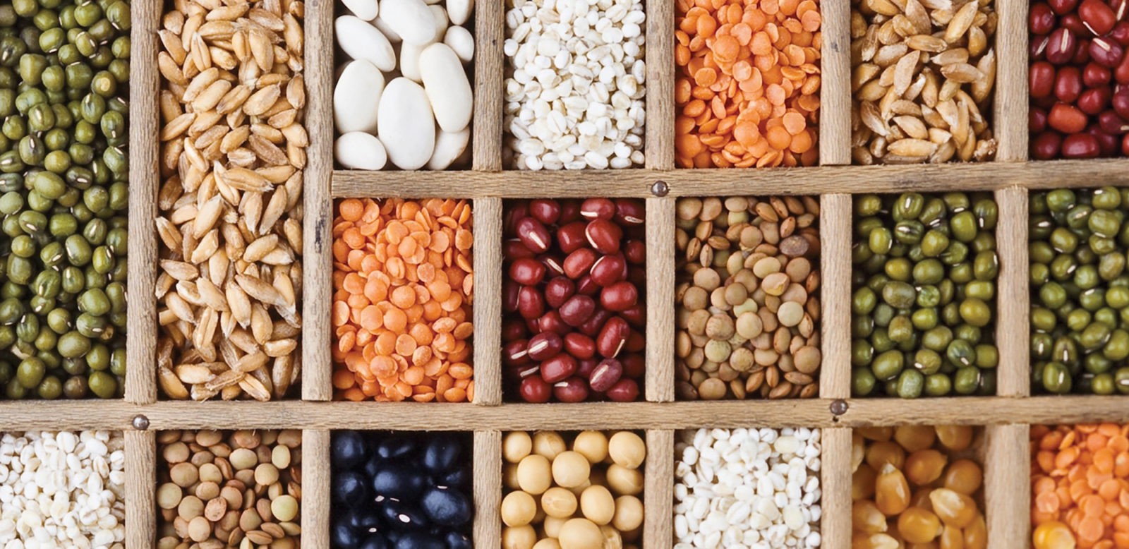 Planting The Seed - Healthy Kansas City