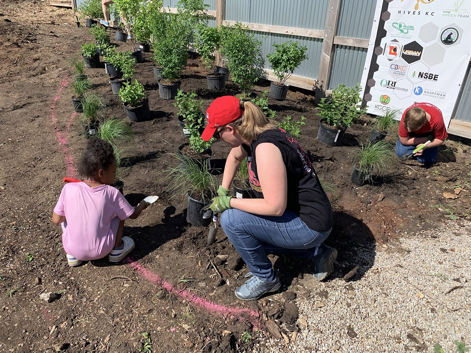 Meet the VIP’s (Very Important Pollinators) - Healthy Kansas City