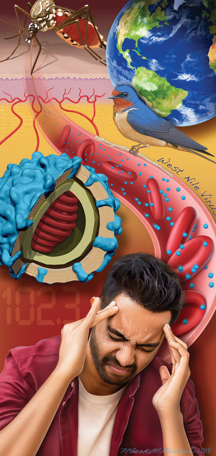 Medical Illustration? What’s That? Let Me Draw You a Picture! - Healthy ...